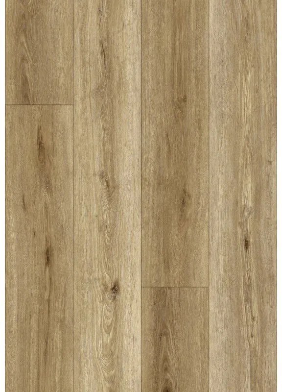 Mexen Sanford vzorek SPC vinylových panelů 6,5 mm, podložka IXPE 1,5 mm, 4 V-drážka, Dub - F1059-S