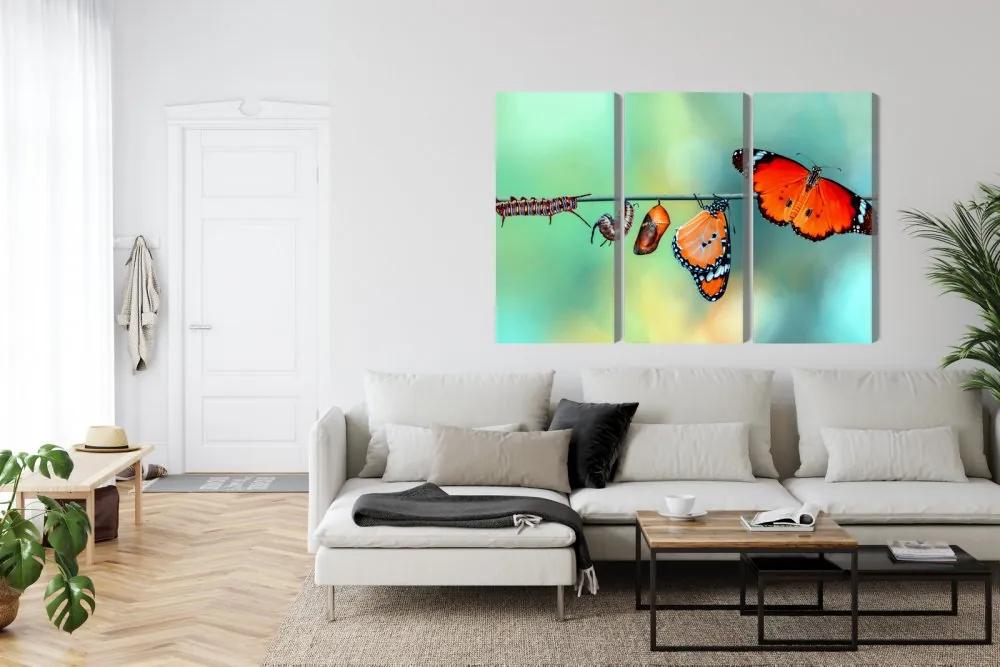 Vícedílný obraz Barevné Housenky A Motýli V Makro Měřítku Nedostatek Nedostatek Plátno Canvas 120x80