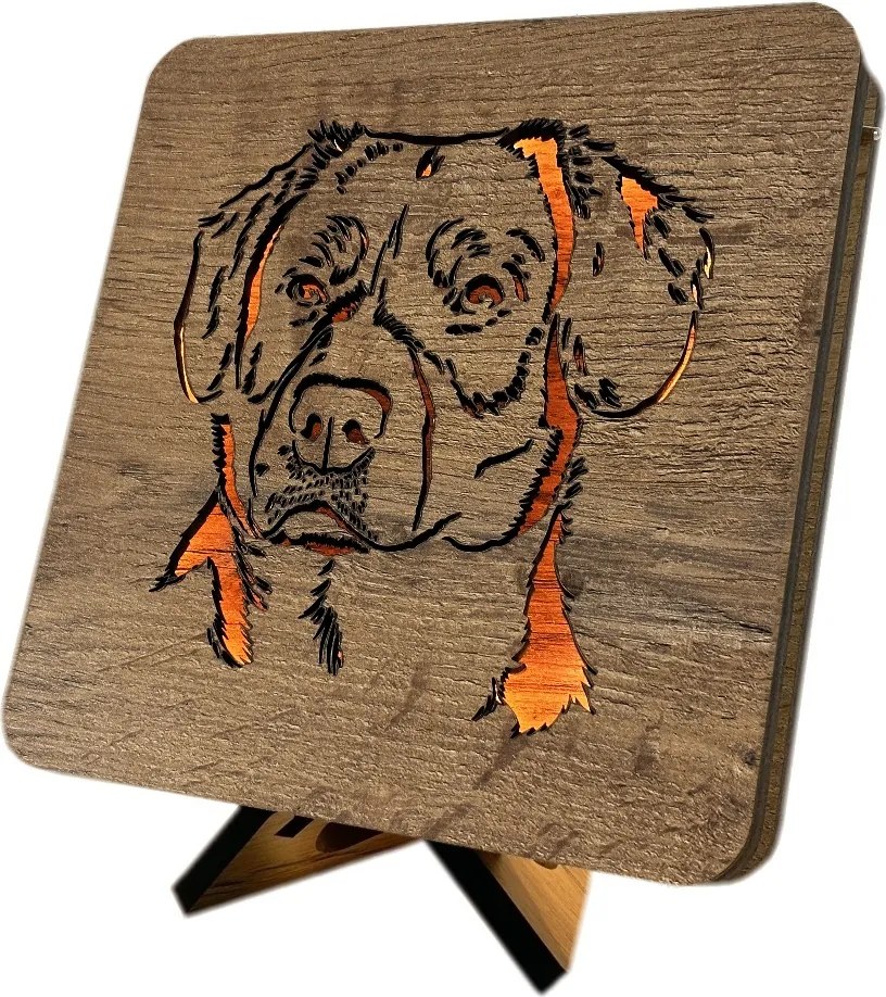 Li-Go "Rottwailer" lampa 19x19 cm provedení povrchu: dub