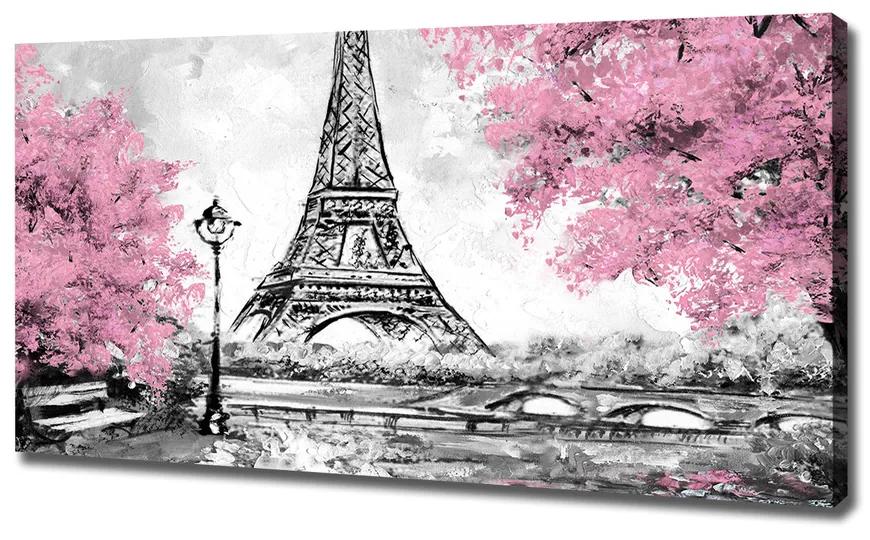 Wallmuralia Foto obraz na plátně Eiffelova věž Paříž 120x60 cm | BIANO