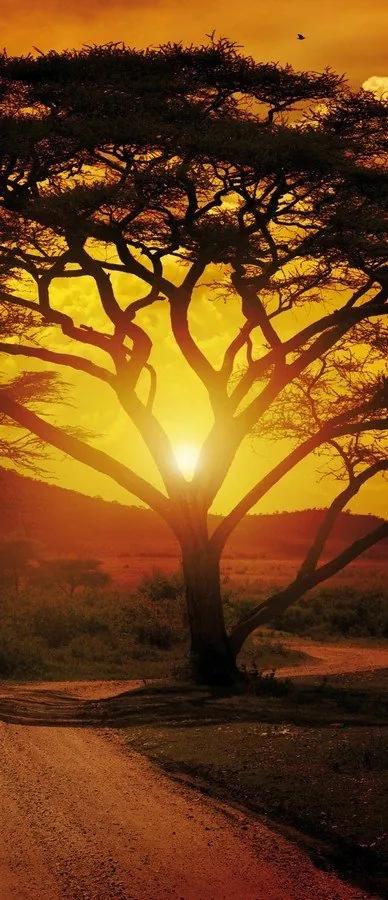 Postershop Fototapeta samolepící: Africký západ slunce - 211x91 cm
