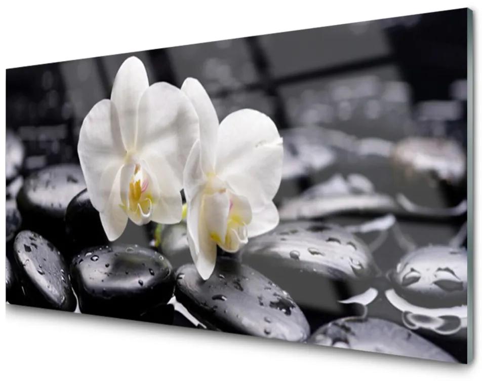 Skleněný obraz Kameny Zen Bílá Orchidej