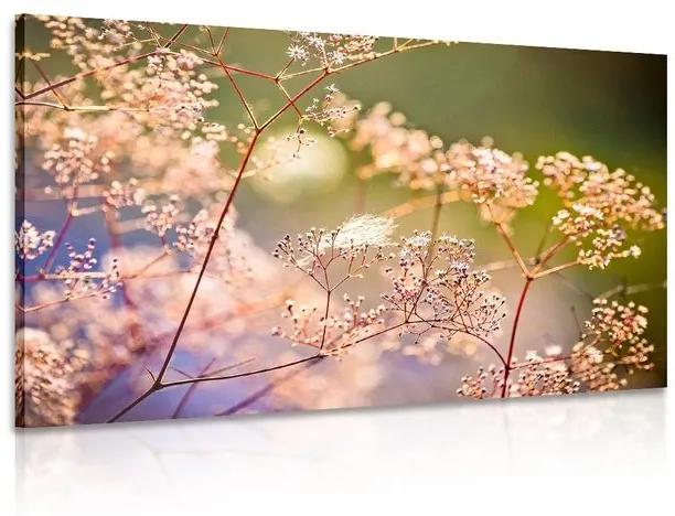 Obraz zátiší z květů - 90x60 cm