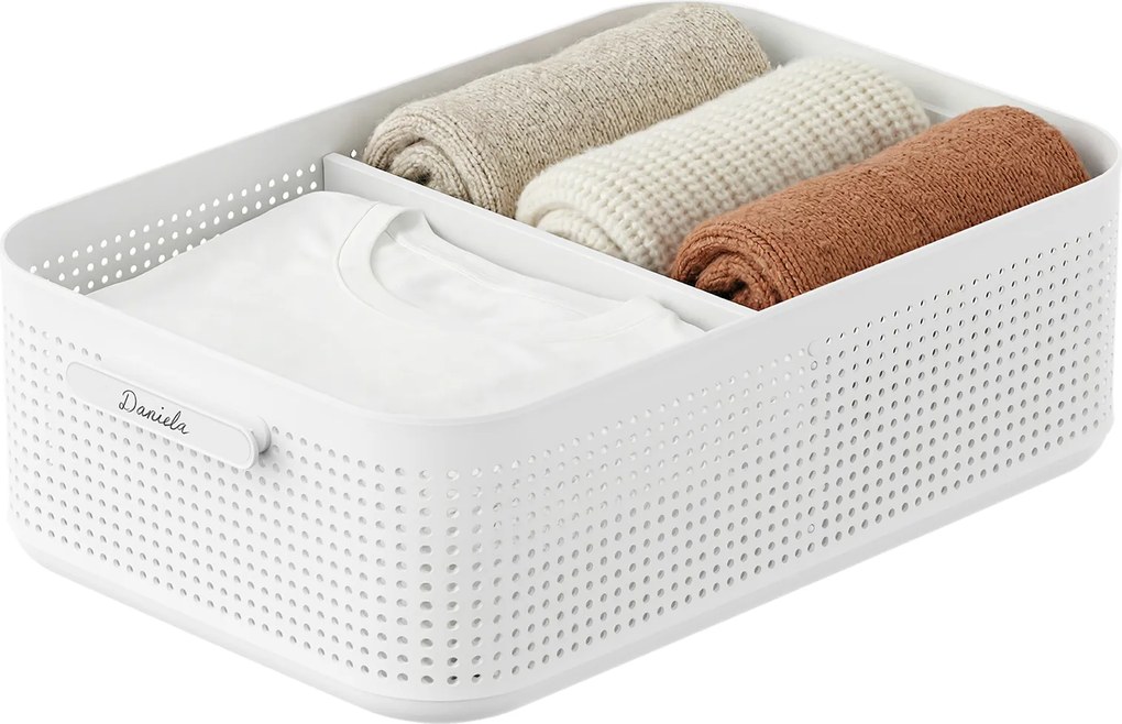 Rotho Úložný box do skříně, šatní organizér LISORA - L, 49,4 × 31 × 15 cm