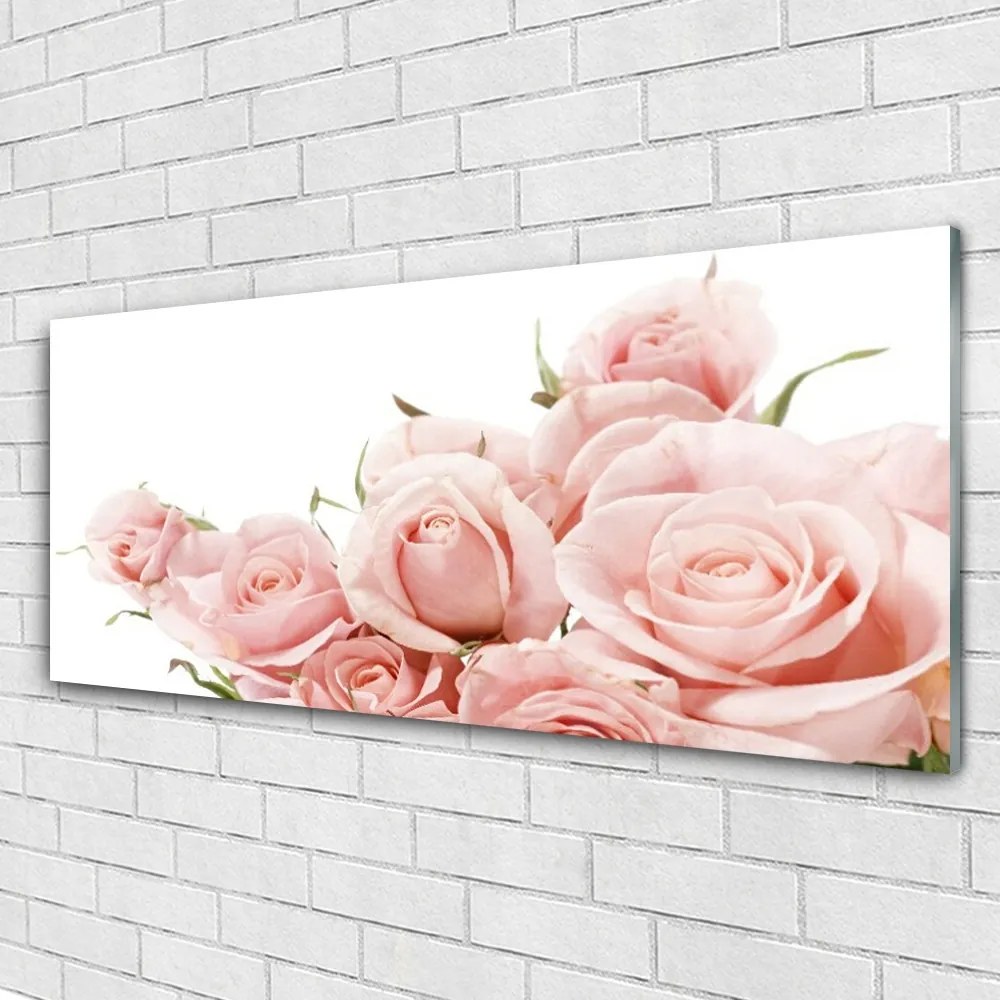 akrylový obraz Růže Květiny Rostlina 120x60 cm