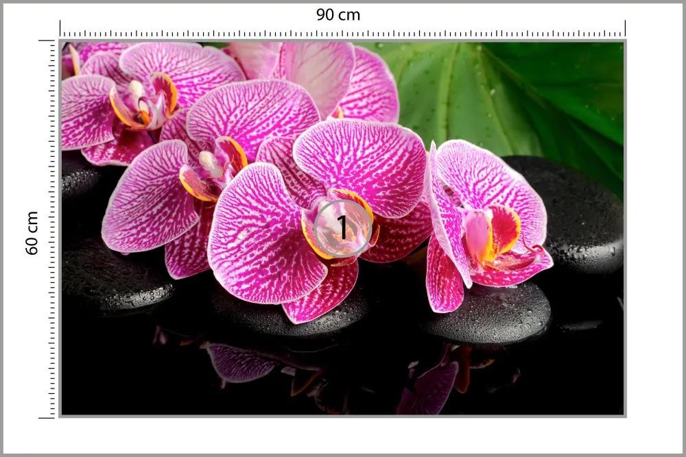 Fototapeta Orchidové Lázně Samolepící tapety 104x70.5