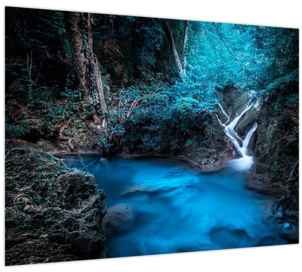 Obraz - Magická noc v tropickém lese (70x50 cm)