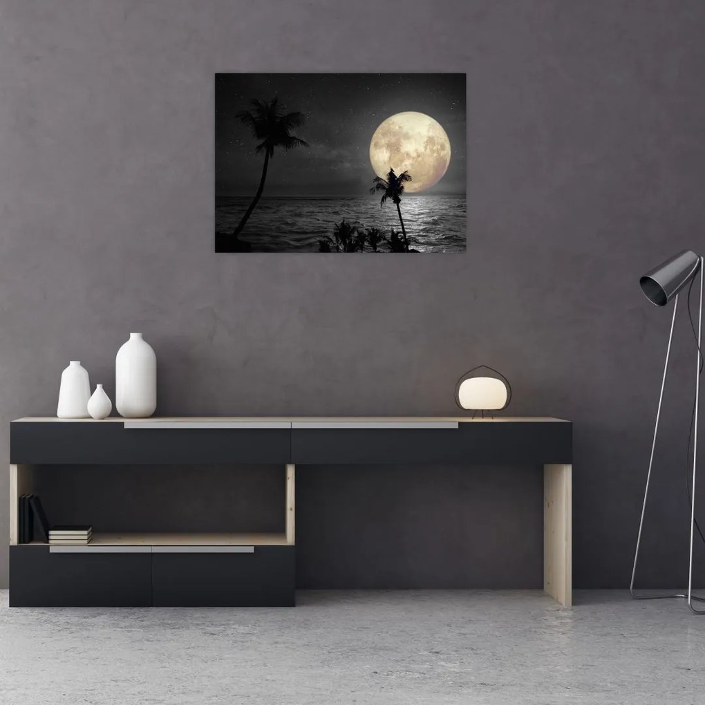 Skleněný obraz - Pláž za úplňku v šedých tónech (70x50 cm)