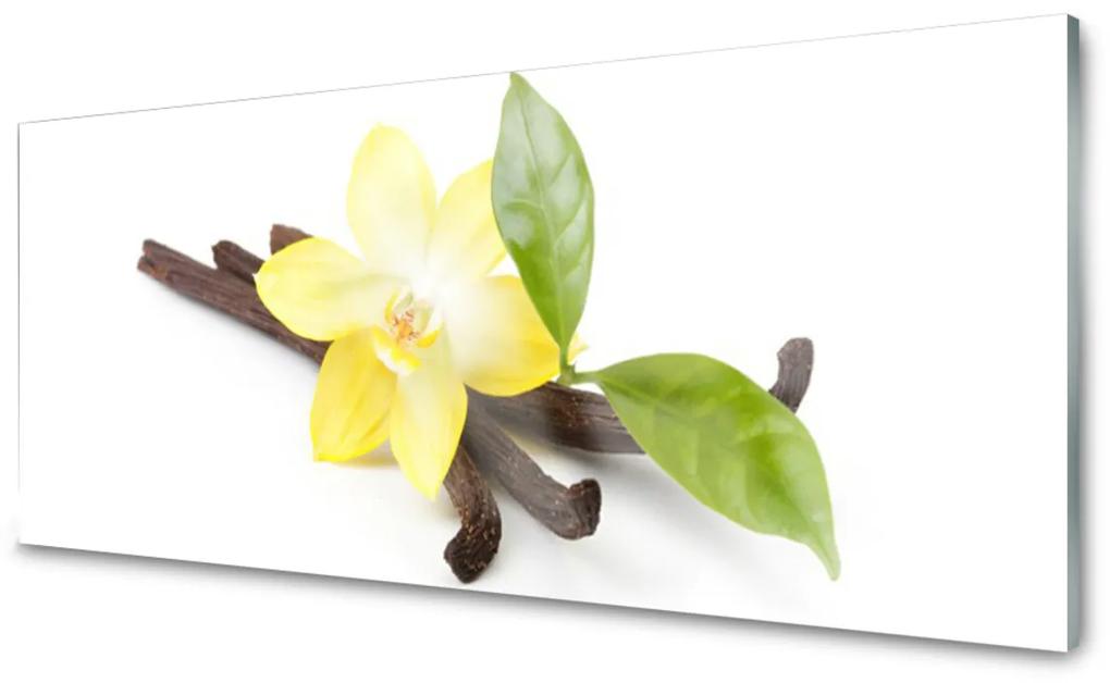 Skleněný obraz Vanilka Listy Rostlina