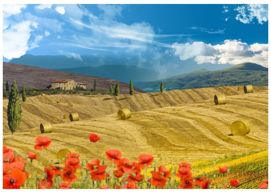 Fototapeta - Autumn landscape