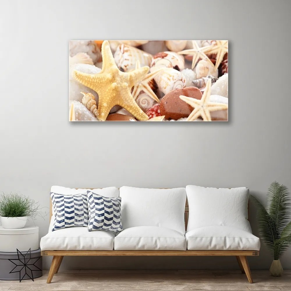 Plexisklo-obraz Hvězdice Mušle Pláž 100x50 cm