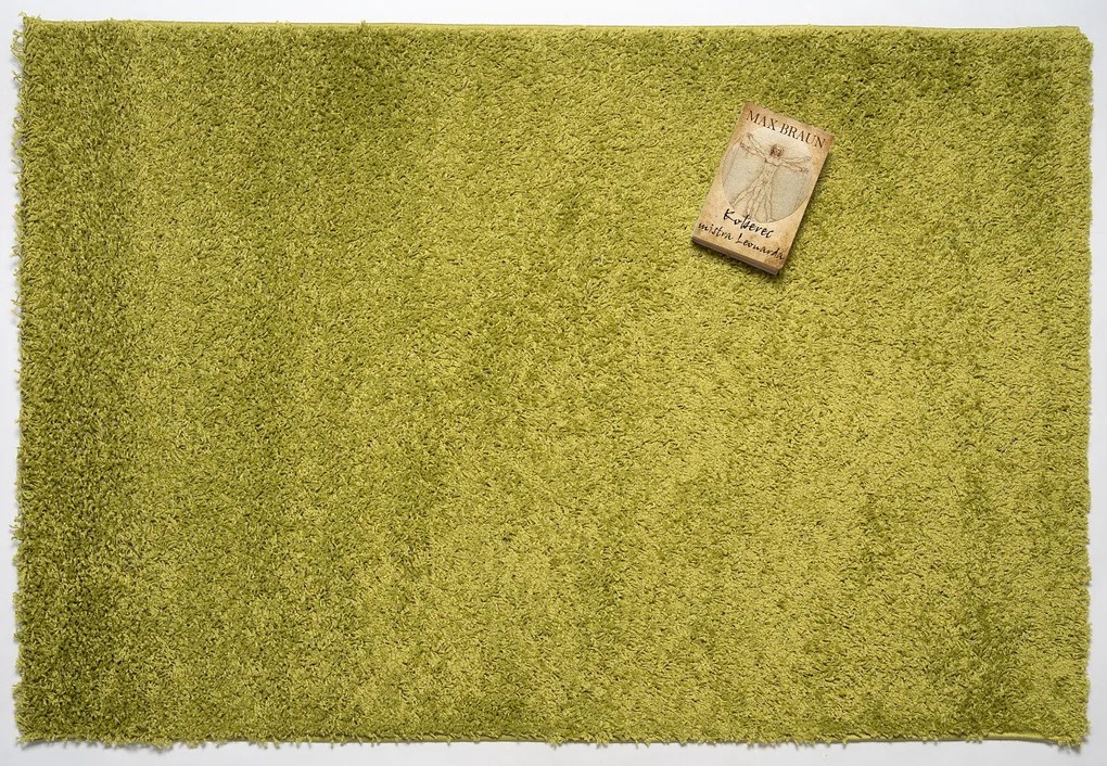 Kusový koberec Efor Shaggy 1903 Green, 160x230, zelená, obývacia izba, Mono Carpet