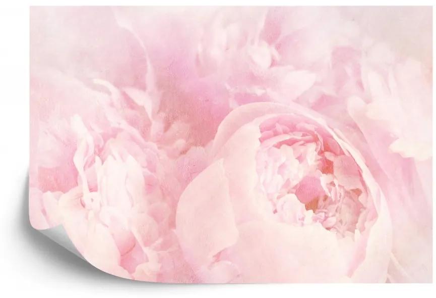 Fototapeta Krásné Květy Vybledlé Vinobraní Růžové Hladký vinyl 270x180