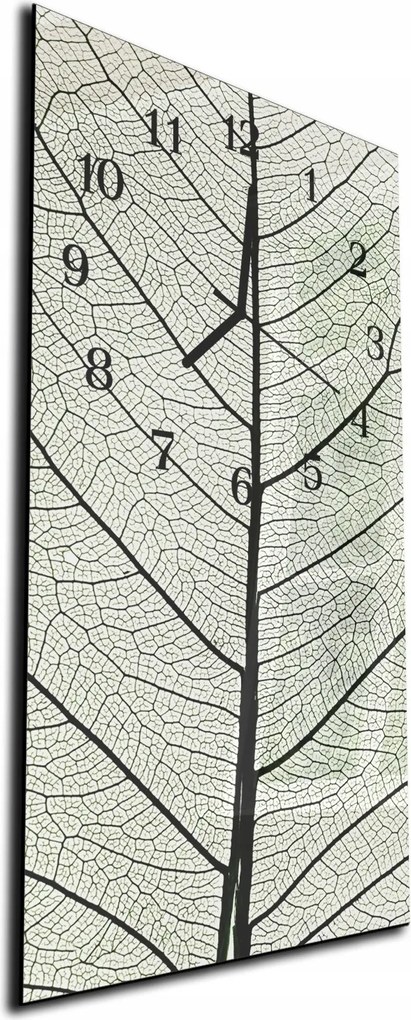 hodiny na skle do kuchyně 60x30 sklo list textura