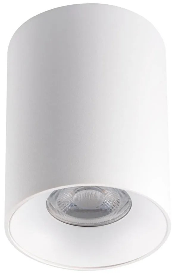 Kanlux 27569 - Stropní svítidlo RITI 1xGU10/25W/230V bílá