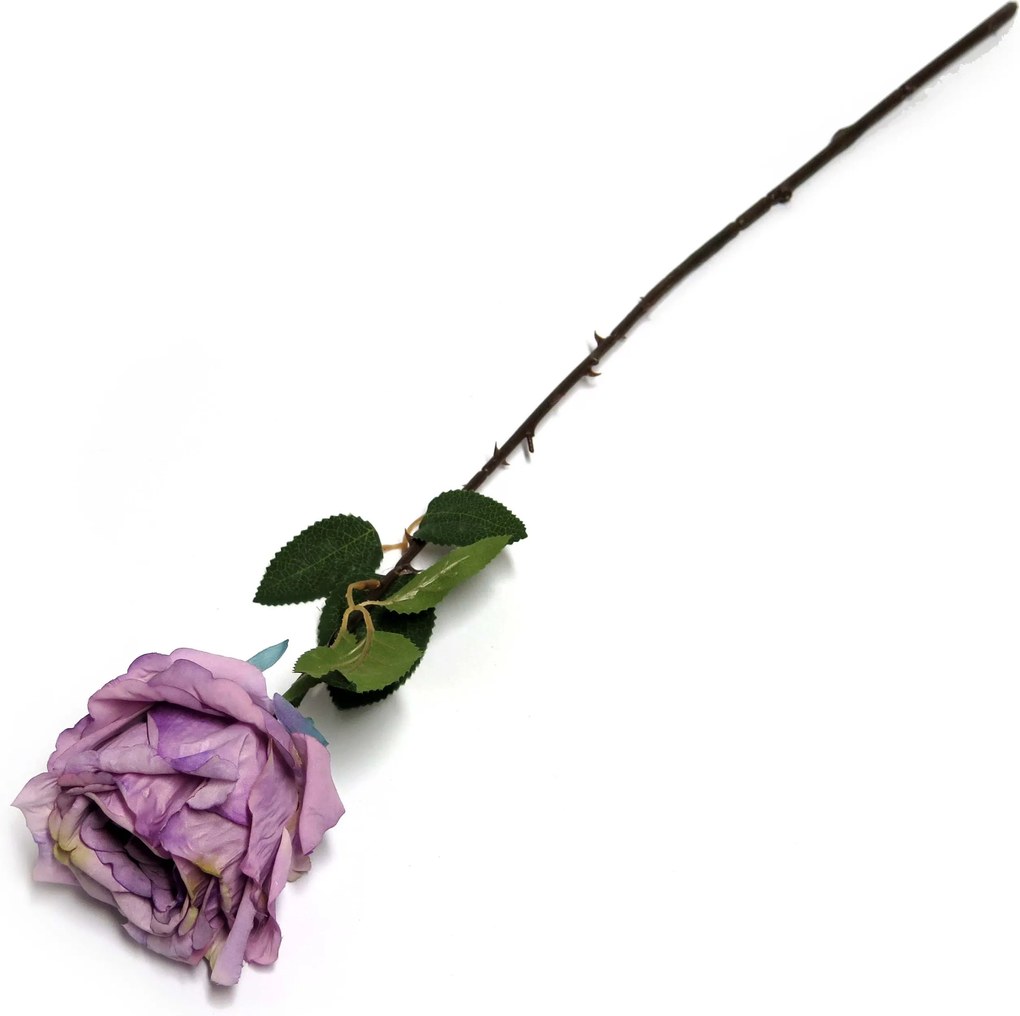 Růže fialový melír 70cm
