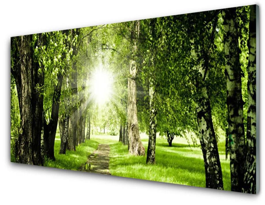 Obraz na skle Les Slunce Stezka Příroda 140x70 cm