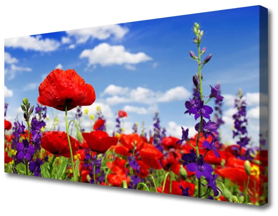 Obraz na plátně Květiny 100x50cm