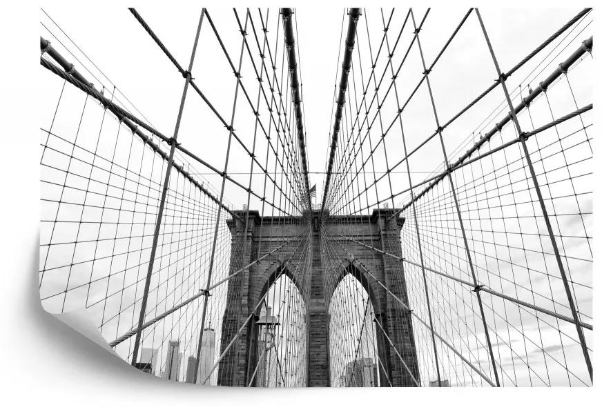 Fototapeta Brooklyn Bridge Ny Hladký vinyl 104x70.5