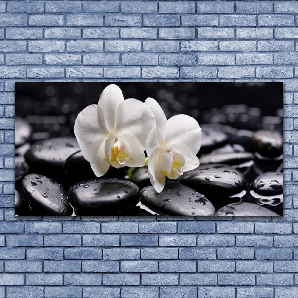 Plexisklo-obraz Kameny Zen Bílá Orchidej 120x60 cm