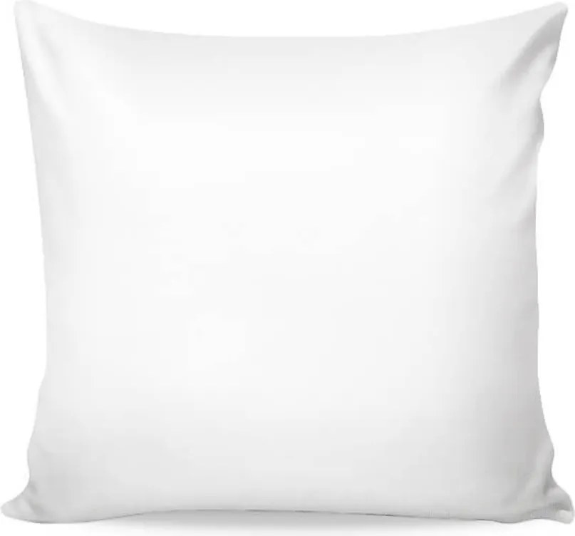 SKANTEX Polštář SKANTEX® rozměr: 50 x 50 cm