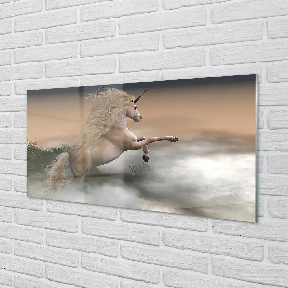 Obraz na skle Unicorn mraky 120x60 cm