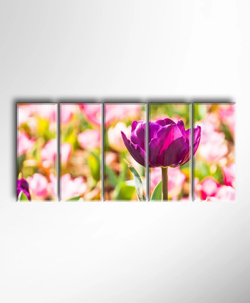 Malvis ® Obraz Pestrý tulipán ROZMĚR (šířka x výška): pětidílný obdélník 150x60 cm