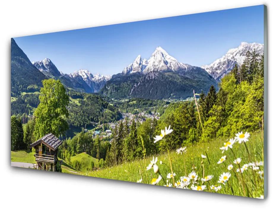 Obraz na skle Hora Pole Příroda 140x70 cm