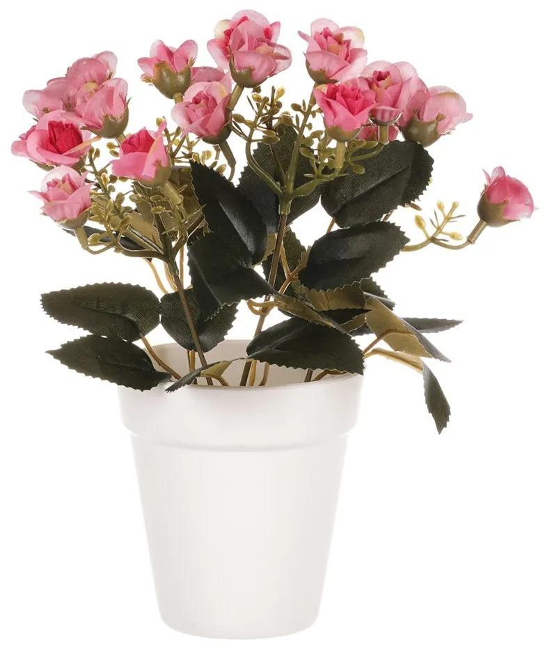 Mini růžičky v plastovém bílém obalu SG7334 Růžová