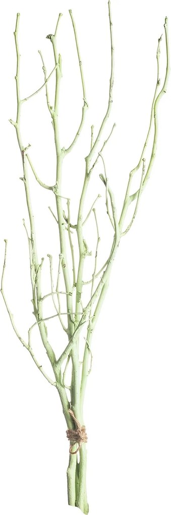 Lísková větev 50cm light green