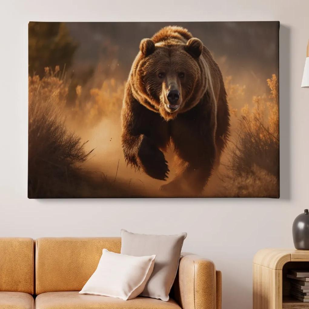 Obraz na plátně - Medvěd běžící v divoké přírodě FeelHappy.cz Velikost obrazu: 90 x 60 cm