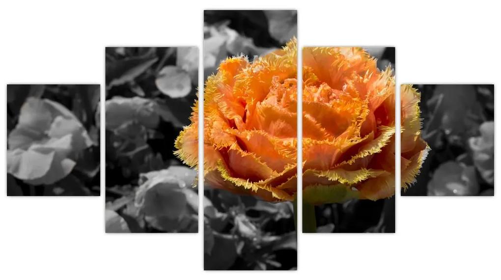Obraz květu (125x70 cm)