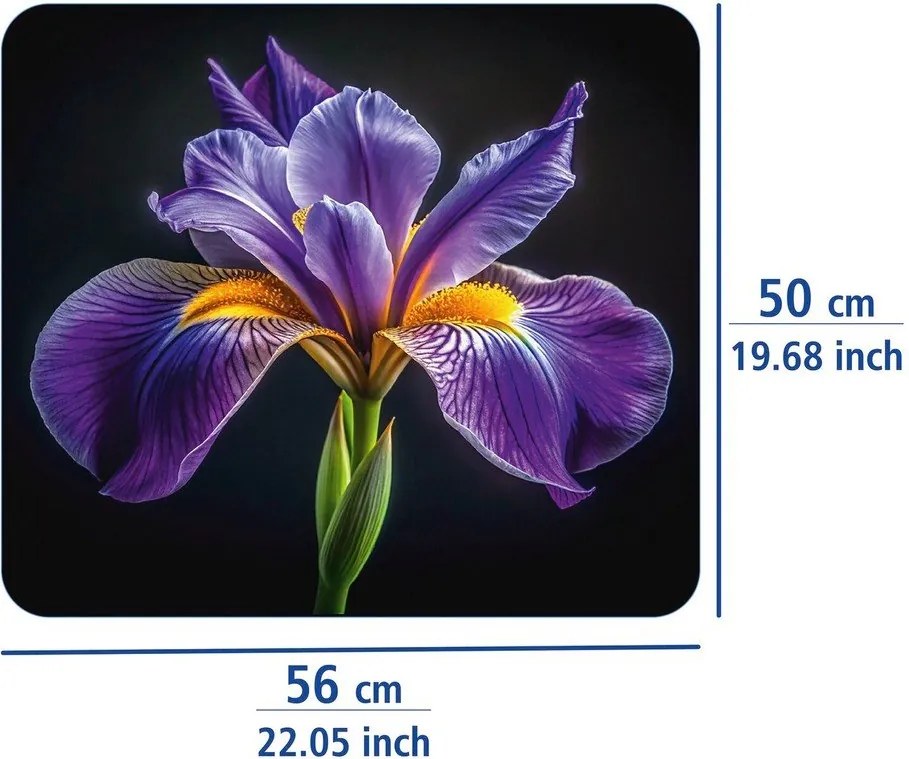 Kryt na zeď u sporáku z tvrzeného skla 50x56 cm Iris – Wenko