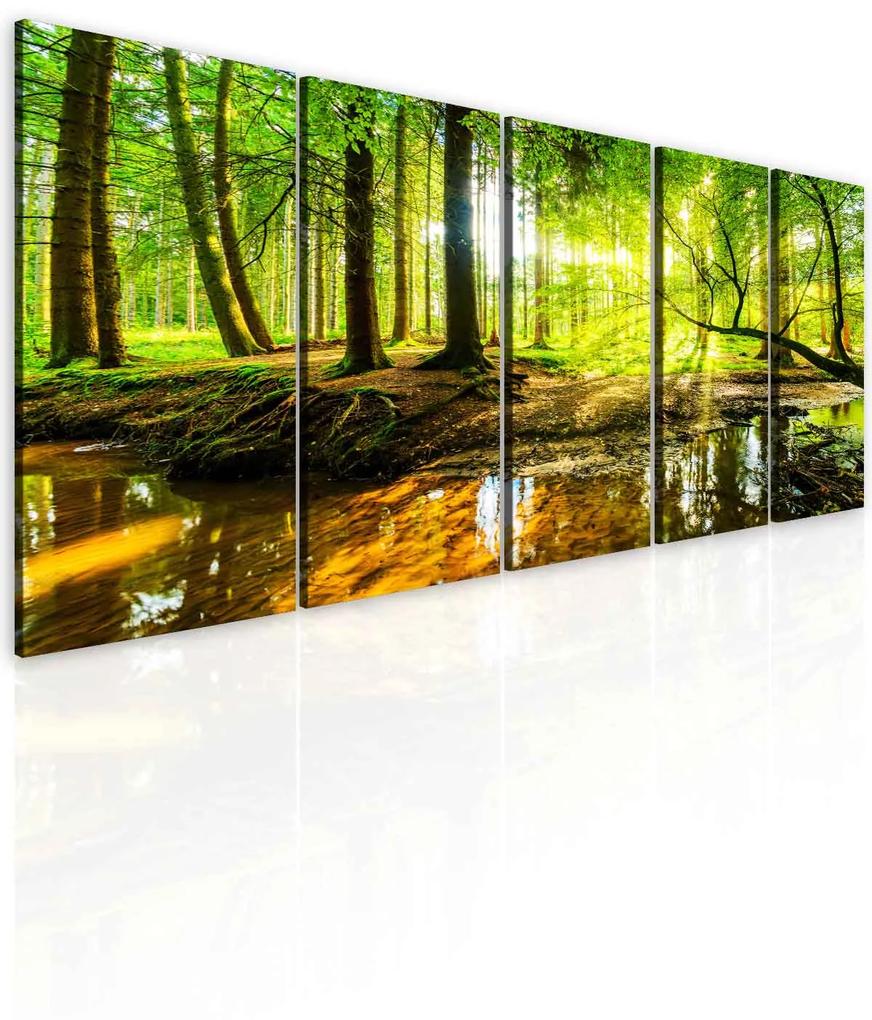 Pětidílný obraz lesní úsvit Velikost (šířka x výška): 100x45 cm