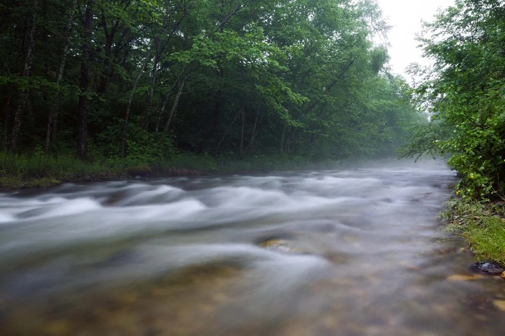 DIMEX | Samolepicí vliesová fototapeta na zeď Řeka v oparu MA-5-3107 | 375 x 250 cm | zelená, bílá, hnědá