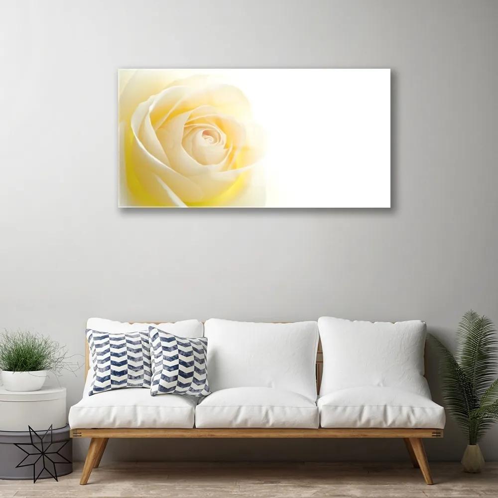 Obraz na skle Růže Květ Rostlina 140x70 cm