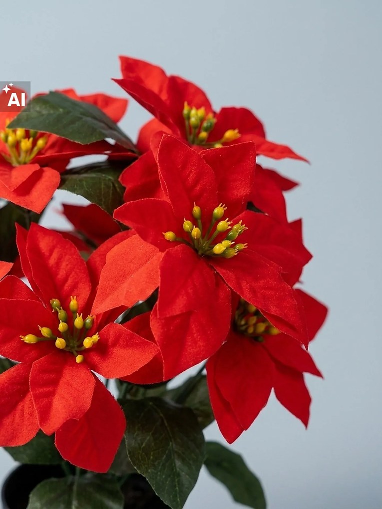 Sinsay - DECORATIVE PLANT - vícebarevná