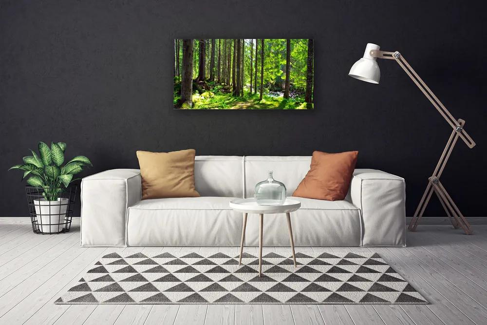 Obraz na plátně Les Stromy Rostlina Příroda 140x70 cm