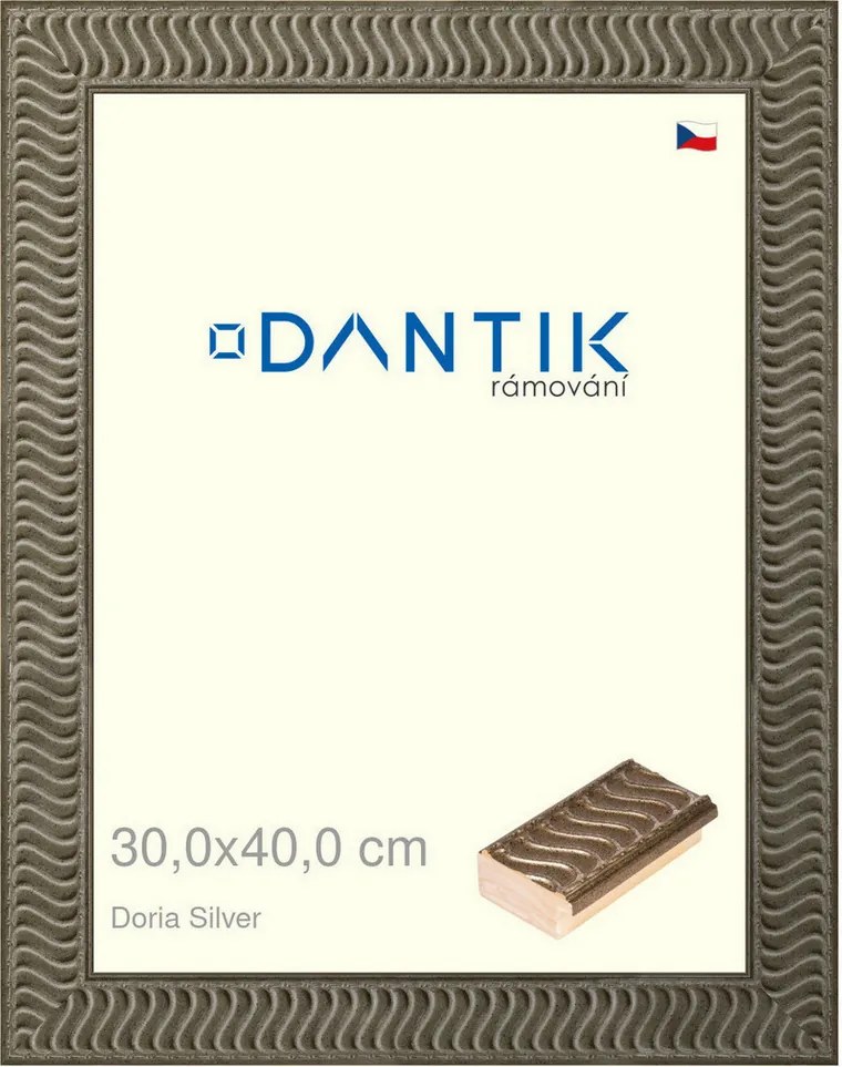 DANTIK rámeček 30x40 | Doria Silver (Plexi Čiré)