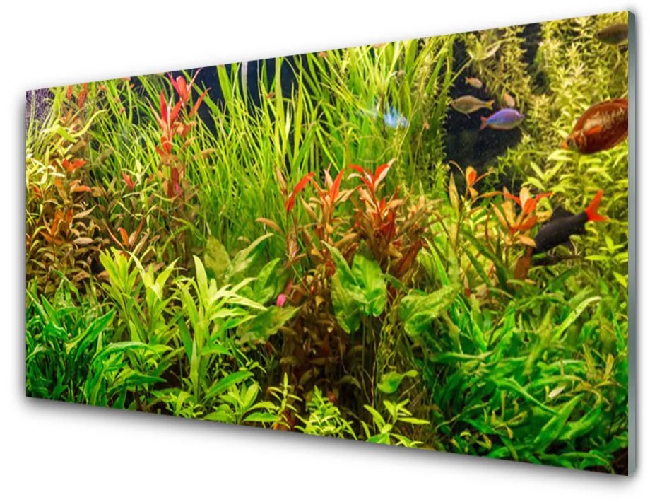 akrylový obraz Akvárium Rybičky Rostliny 120x60 cm