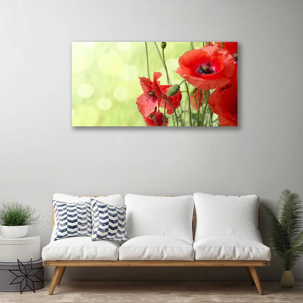 Obraz na plátně Máky Květiny Příroda 140x70 cm