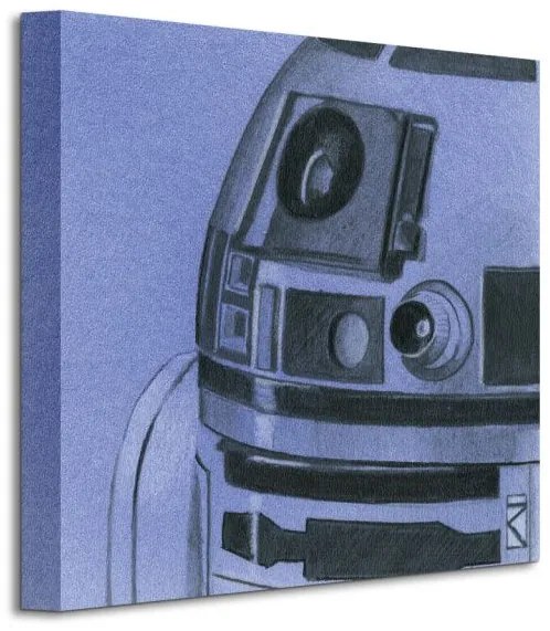 Obraz na plátně Star Wars R2-D2 Sketch 30x30cm WDC91217