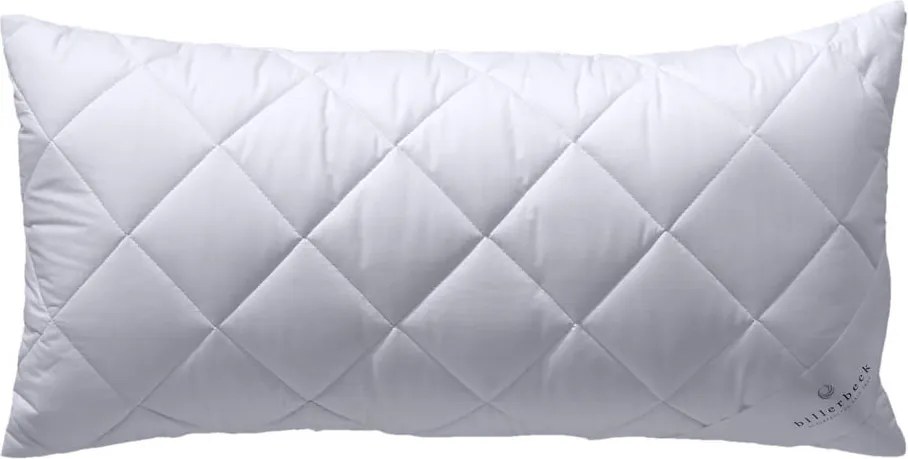 XXXLutz POLŠTÁŘ POD HLAVU, 40/80 cm Billerbeck - Polštáře pod hlavu - 003279020001