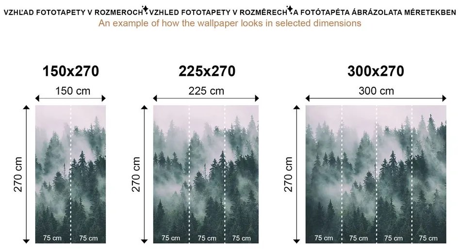 Samolepící fototapeta cesta v lese