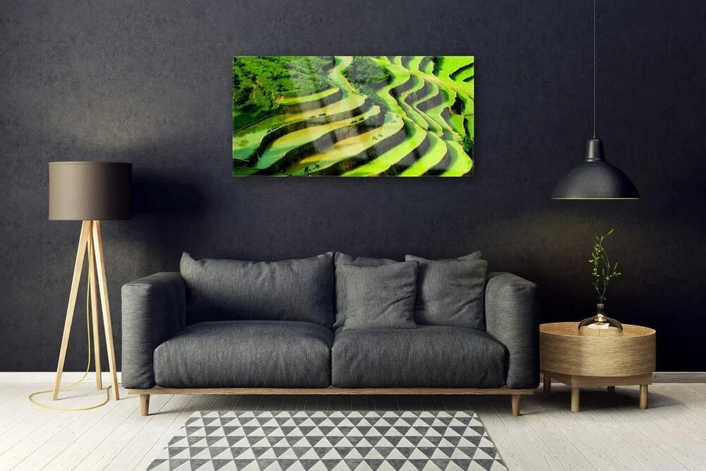 Obraz na skle Pole Rýže Les Umění 100x50 cm