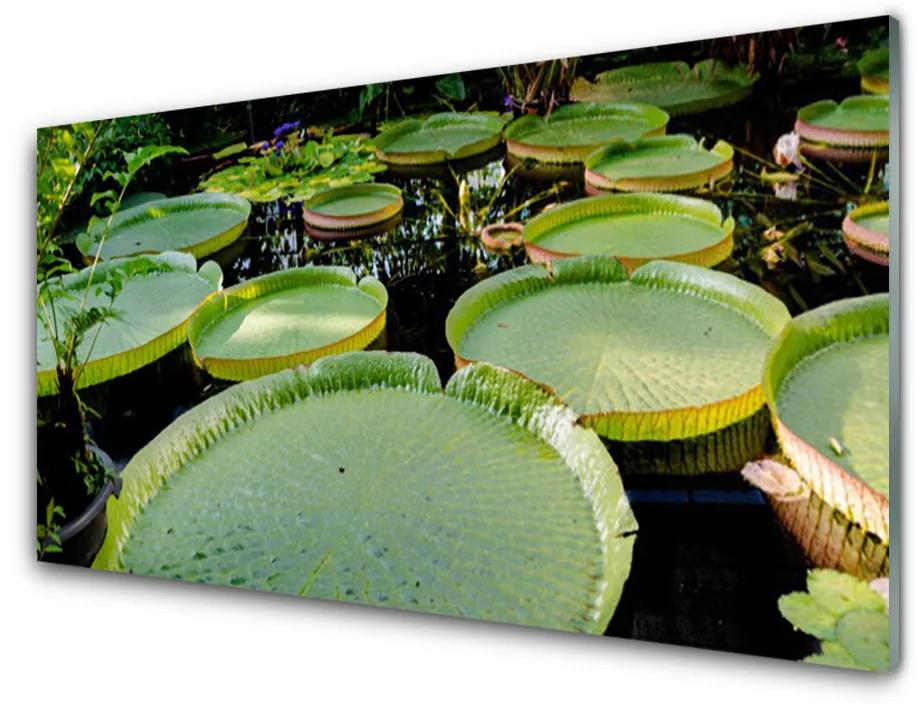 Obraz na skle Listy Jezero Příroda 125x50 cm