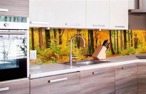 Samolepící tapety za kuchyňskou linku les na podzim rozměr 260 cm x 60 cm