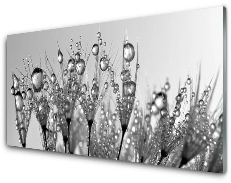 Obraz na skle Abstrakce Rostlina Příroda 120x60 cm