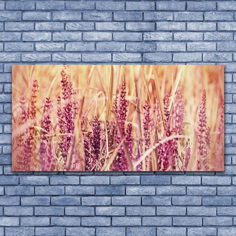 Plexisklo-obraz Pšenice Rostlina Příroda 120x60 cm