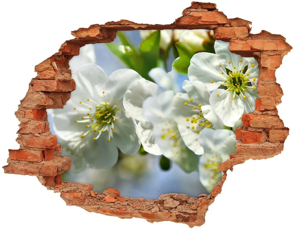 Wallmuralia Samolepící díra nálepka Květ višně 90x70 cm